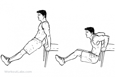 Comment muscler ses triceps sans matériel ? - Barbichette.fr